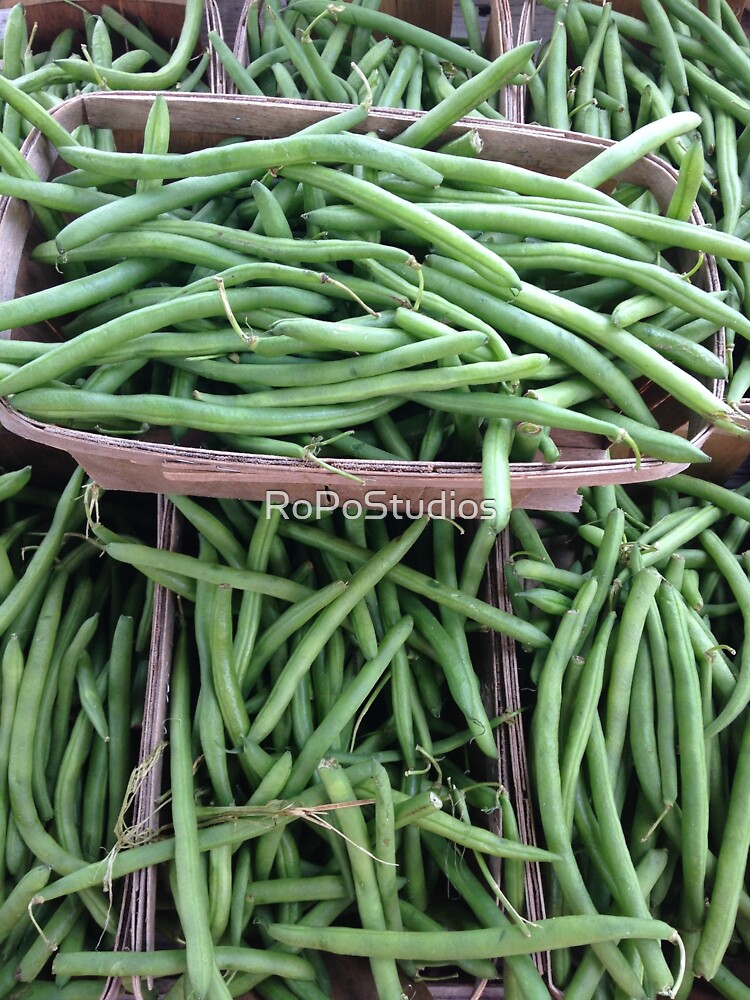 "Baskets of Green Beans" Sticker for Sale by RandolphRue | Redbubble
