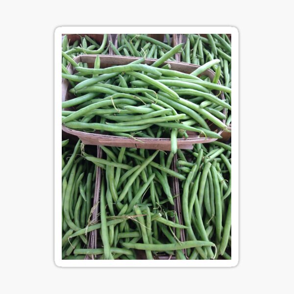"Baskets of Green Beans" Sticker for Sale by RandolphRue | Redbubble