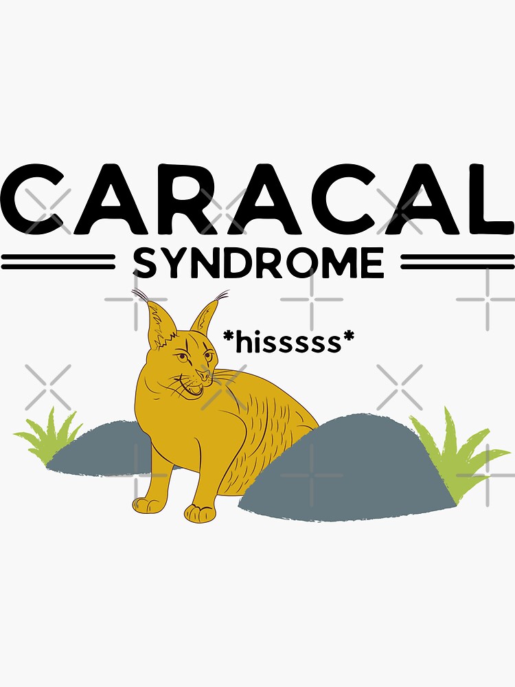 "Big Floppa Hissing Syndrome You Might Be a Caracal " Sticker for Sale ...