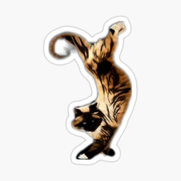 "Cat dancing" Sticker for Sale by Minorsab | Redbubble