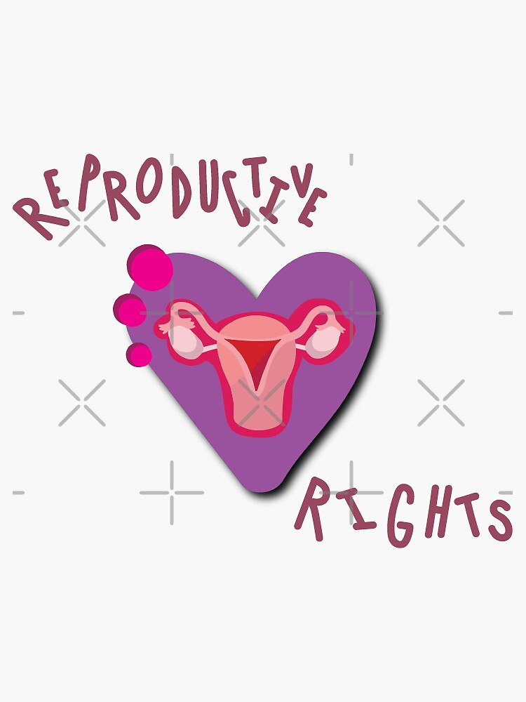 "Reproductive Rights Are Human Rights" Sticker for Sale by dottydoodles ...