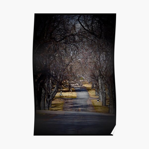 "Country Lane" Poster for Sale by Periscope9 | Redbubble