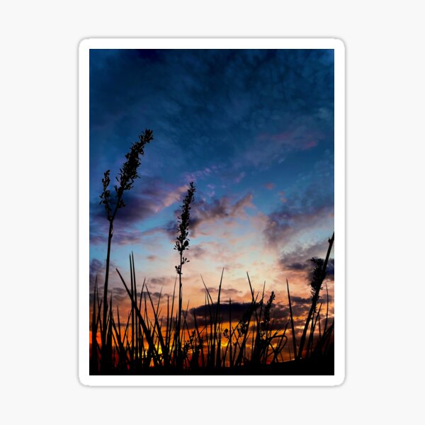 "Arizona Sunset" Sticker for Sale by GoforthPhotos | Redbubble