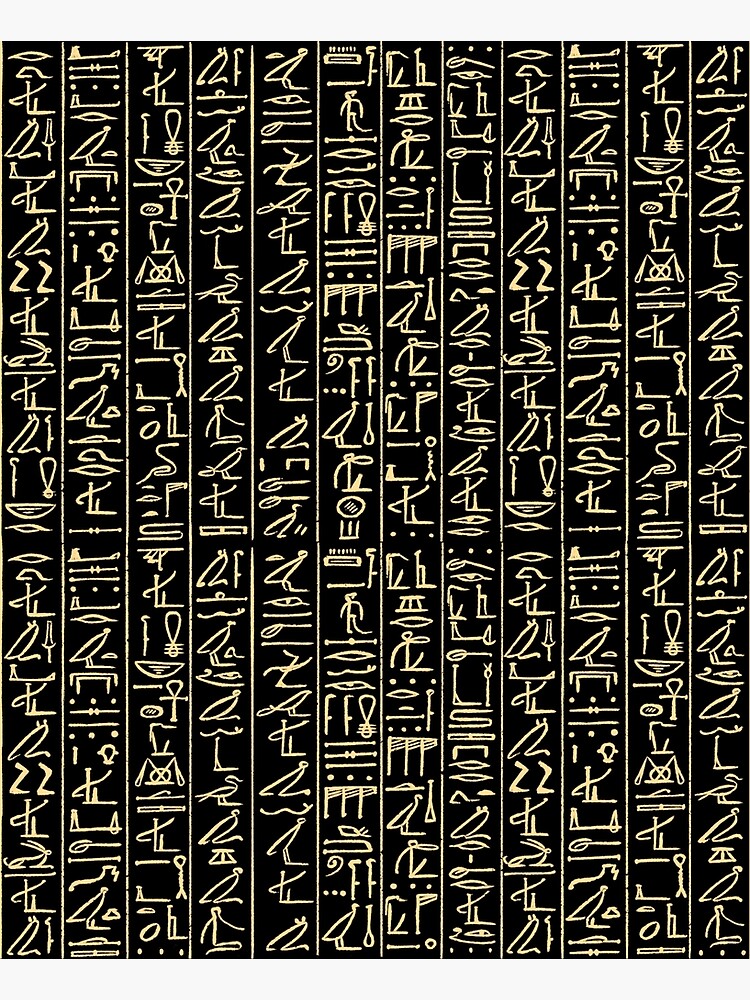 "Ancient Egyptian Hieroglyphics " Poster for Sale by bassel-elkadi ...