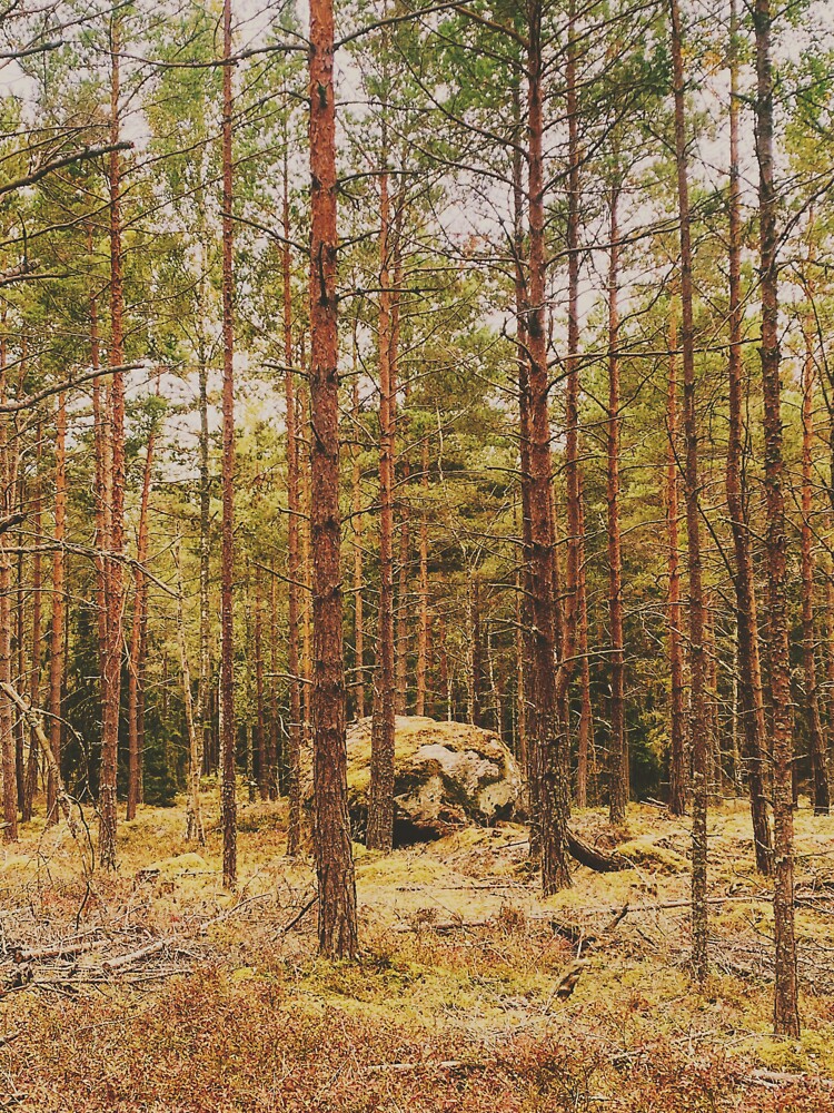 "Woodlands" Sticker for Sale by Eoxe | Redbubble