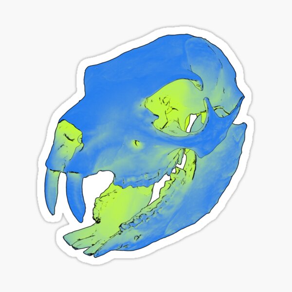 Rock Hyrax Gifts & Merchandise | Redbubble