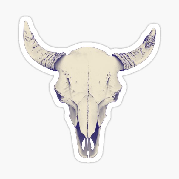 American Bison Skull Stickers | Redbubble