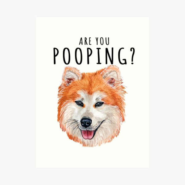 "Funny Shiba Print | Shiba Inu Design | Are You Pooping Bathroom Print ...