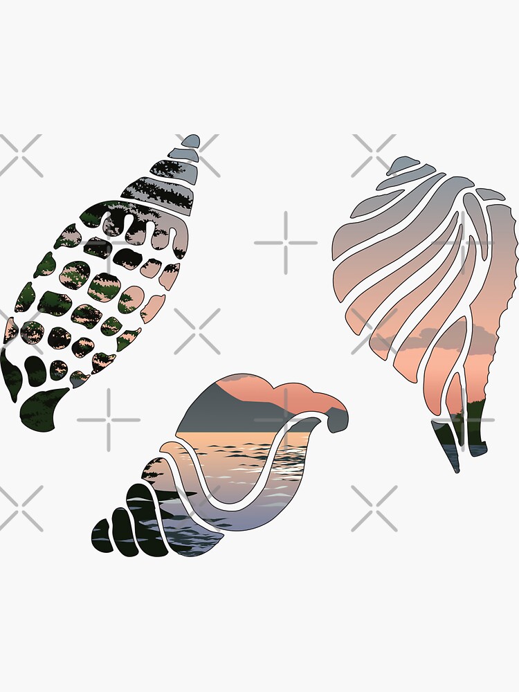 "Sunrise Shells" Sticker for Sale by damonasplace | Redbubble