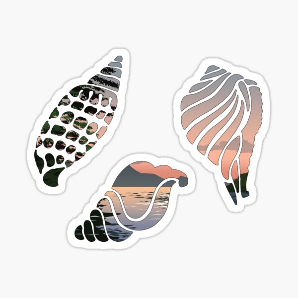 "Sunrise Shells" Sticker for Sale by damonasplace | Redbubble