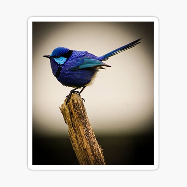 "Bluey Dad " Sticker for Sale by SinDunbar123 | Redbubble