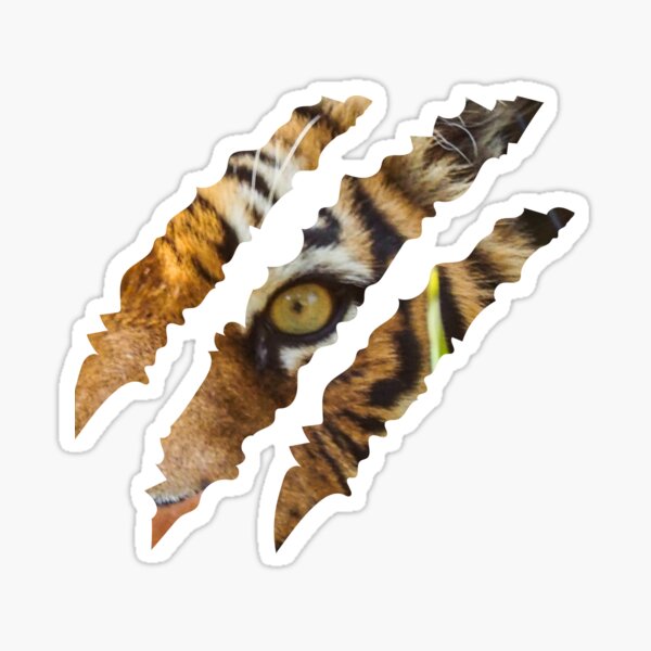 "Tiger Claw Mark on the Face" Sticker for Sale by Gamicnum | Redbubble