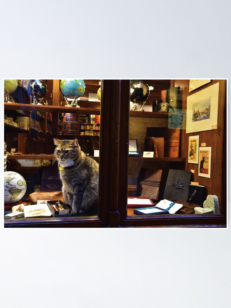 "My shop Window" Poster for Sale by Nerone | Redbubble