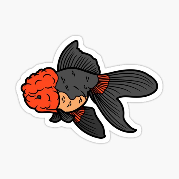 "black moor oranda goldfish" Sticker for Sale by Animster | Redbubble