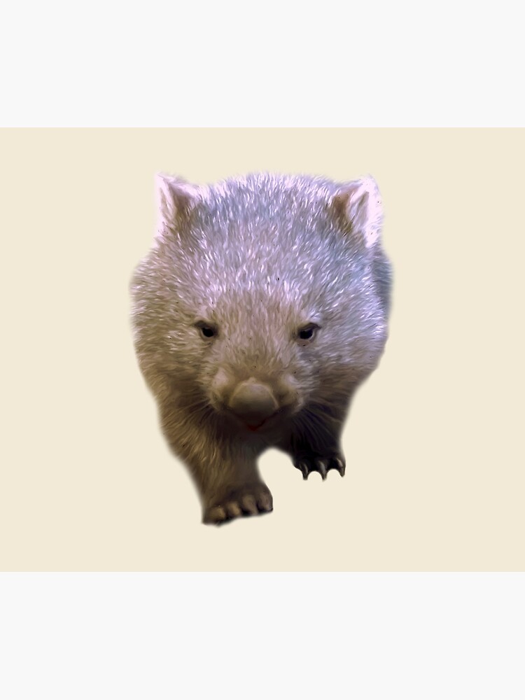 "Wombat" Poster for Sale by Guardi71 | Redbubble