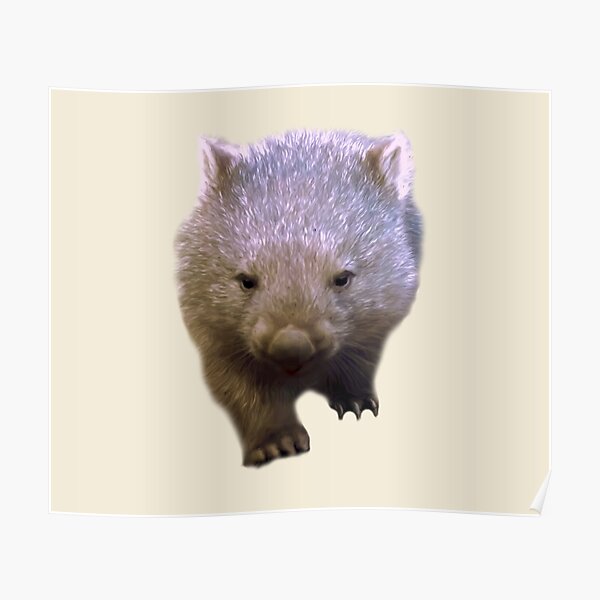 "Wombat" Poster for Sale by Guardi71 | Redbubble