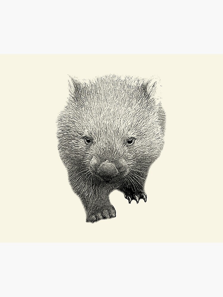 "Wombat" Poster for Sale by Guardi71 | Redbubble