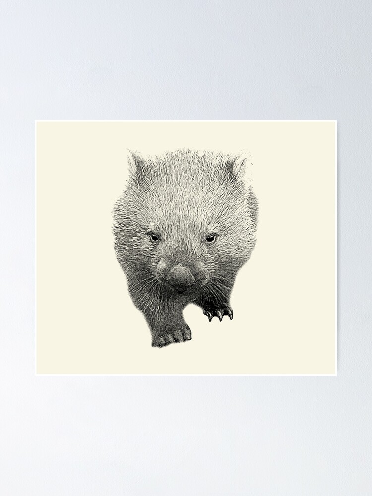 "Wombat" Poster for Sale by Guardi71 | Redbubble