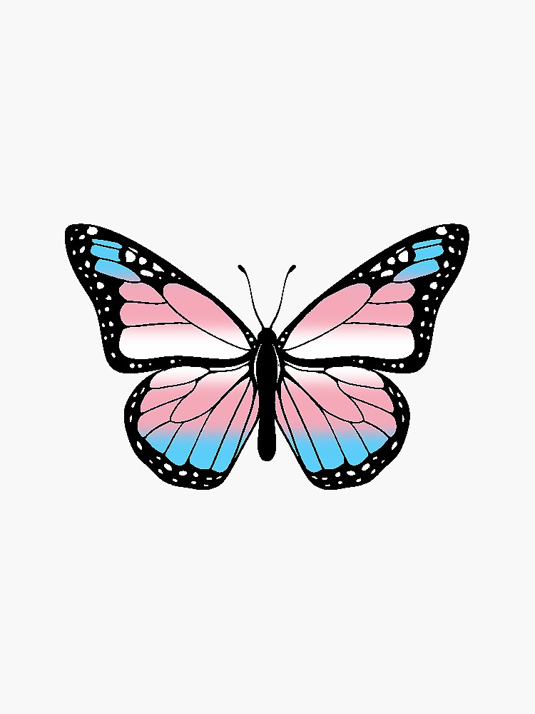 "trans pride butterfly" Sticker for Sale by spadesir | Redbubble