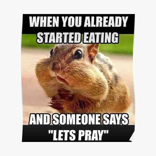 "Funny squirrel eating - memes" Poster for Sale by pusla | Redbubble