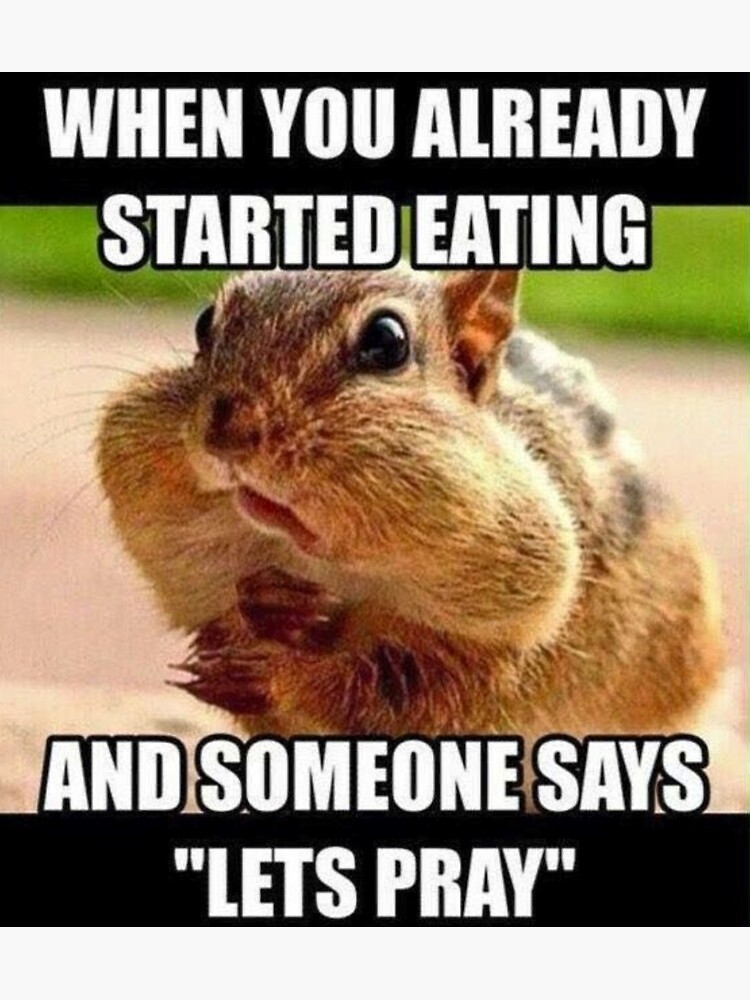 "Funny squirrel eating - memes" Sticker for Sale by pusla | Redbubble