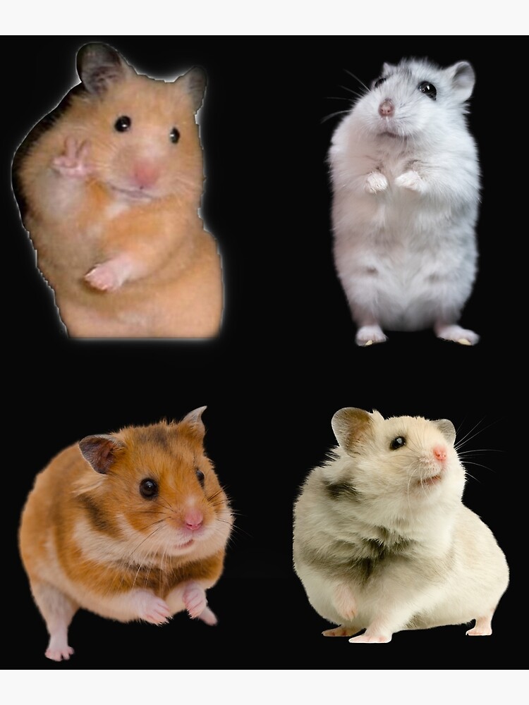 "peace sign and screaming hamster" Poster for Sale by ProjectOfColor ...