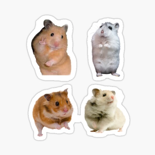"peace sign and screaming hamster" Sticker for Sale by ProjectOfColor ...
