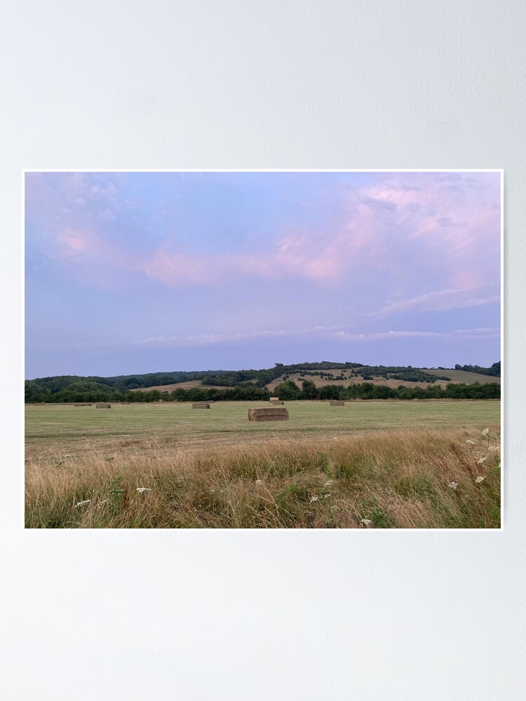 "Ancient meadow" Poster for Sale by Pruzac | Redbubble