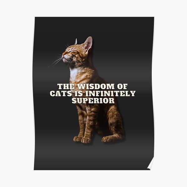 "The Wisdom of Cats Is Infinitely Superior Design" Poster for Sale by ...