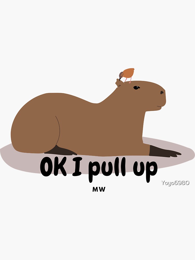 "Capybara I pull up" Sticker for Sale by Yoyo6980 | Redbubble