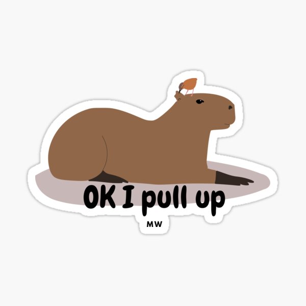 "Capybara I pull up" Sticker for Sale by Yoyo6980 | Redbubble