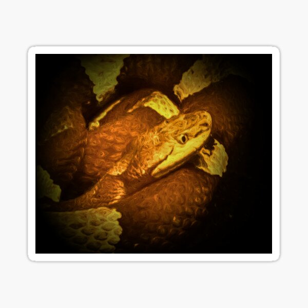 "Copperhead snake" Sticker for Sale by Guardi71 | Redbubble