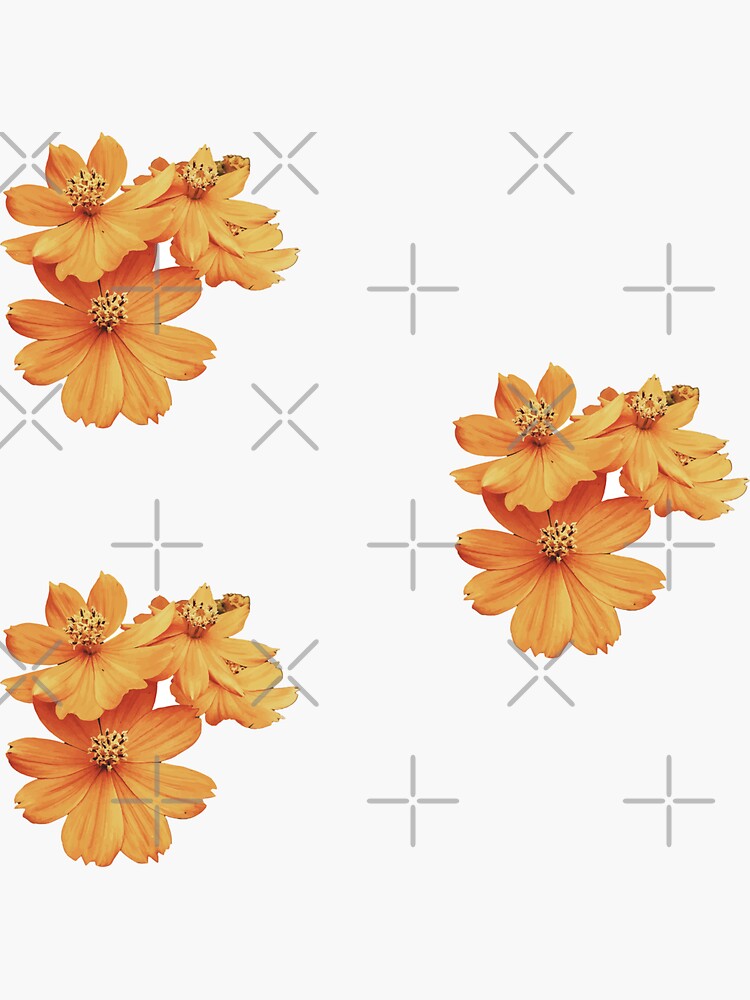 "Cosmos Flower" Sticker for Sale by EtheralDesigns | Redbubble