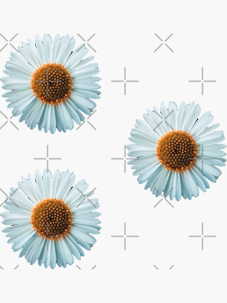 "White Daisy Flower" Sticker for Sale by EtheralDesigns | Redbubble