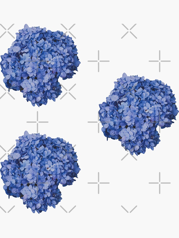 "Blue Hydrangea Flower" Sticker for Sale by EtheralDesigns | Redbubble