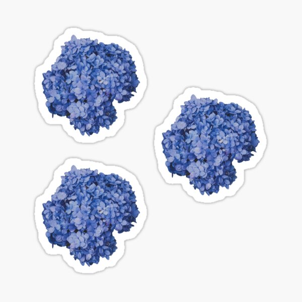 "Blue Hydrangea Flower" Sticker for Sale by EtheralDesigns | Redbubble