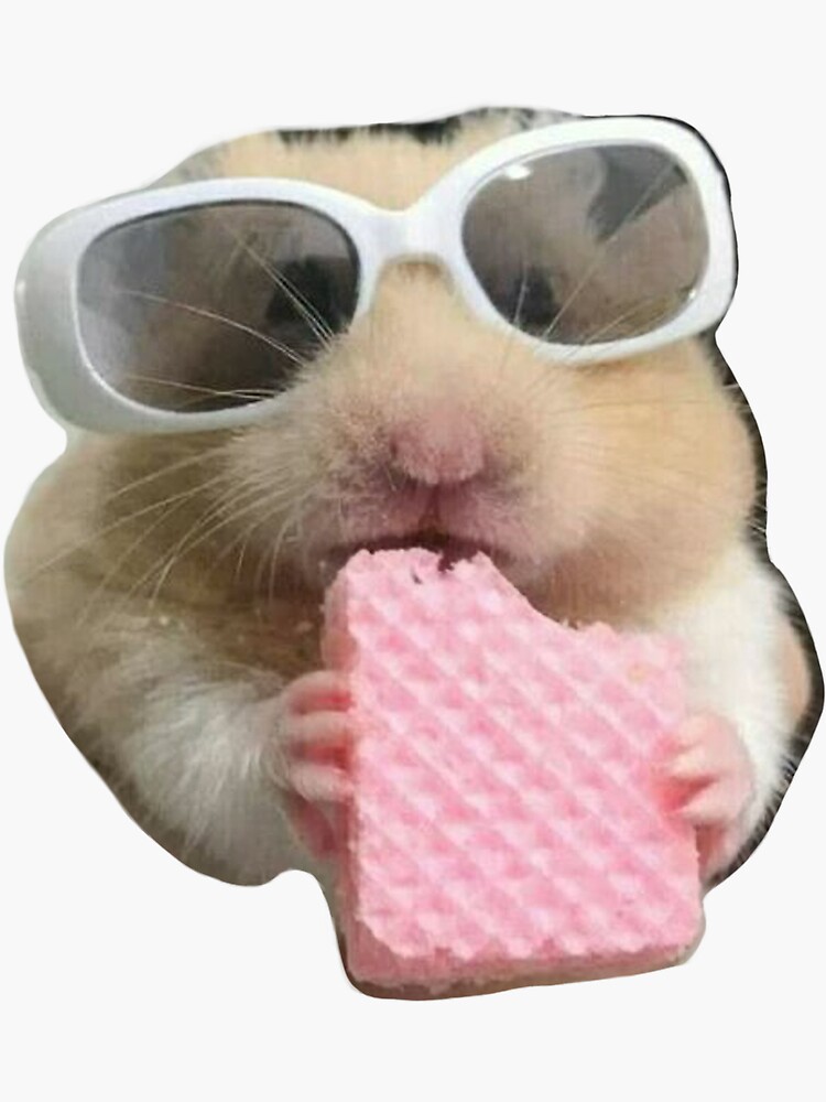 "cute meme hamster sticker" Sticker for Sale by RoseCorrigan | Redbubble