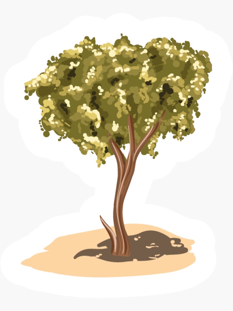 "Ghaf tree" Sticker for Sale by halhashmi | Redbubble