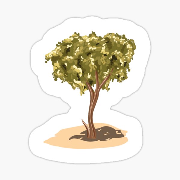 "Ghaf tree" Sticker for Sale by halhashmi | Redbubble