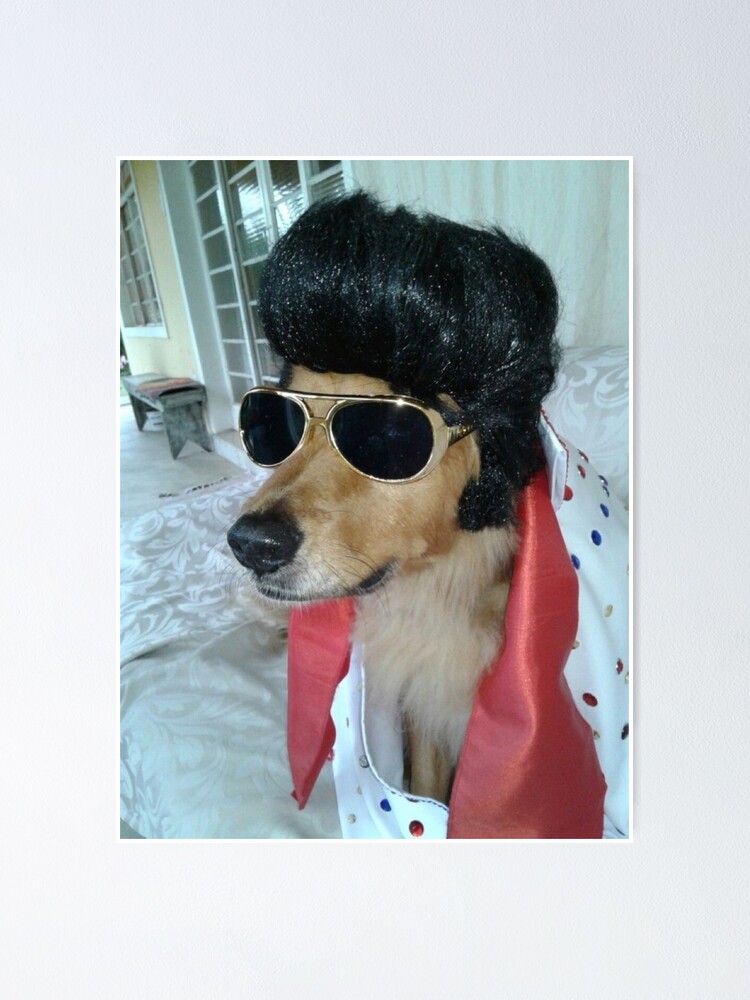 "Elvis dog meme" Poster for Sale by Pjbaratix | Redbubble