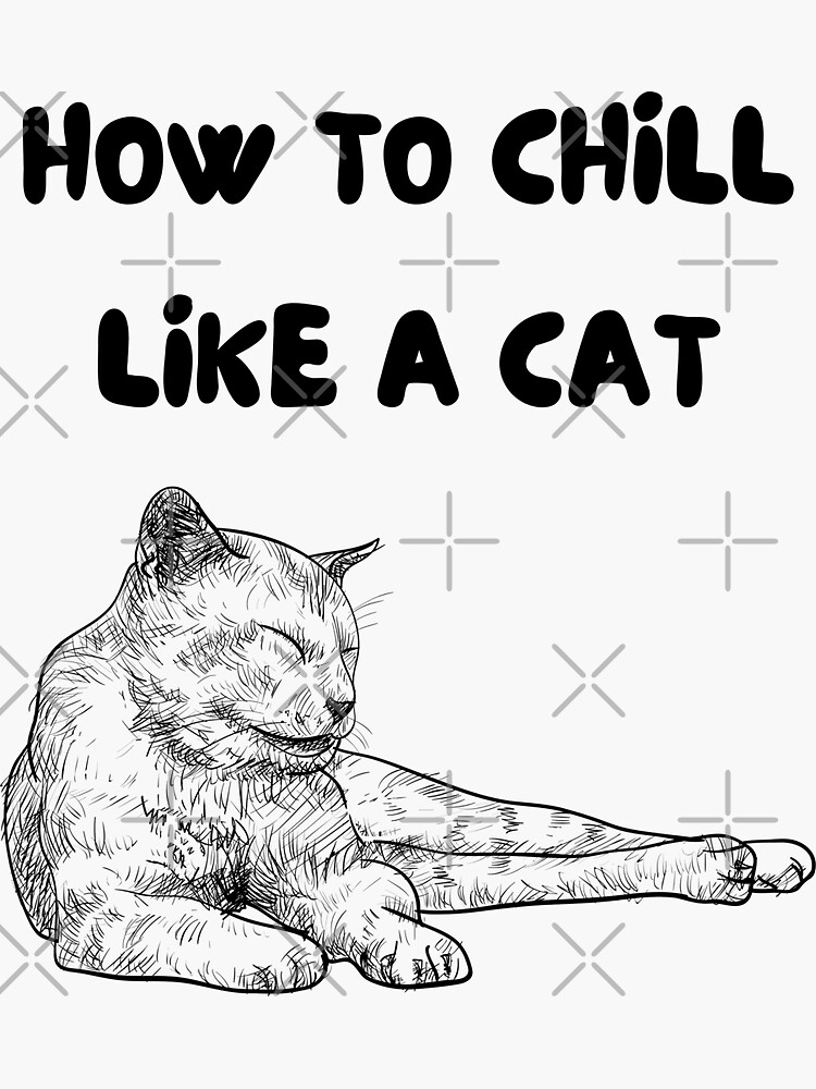 "How to chill like cat, cutecats, funny cats, cool cats and cute ...