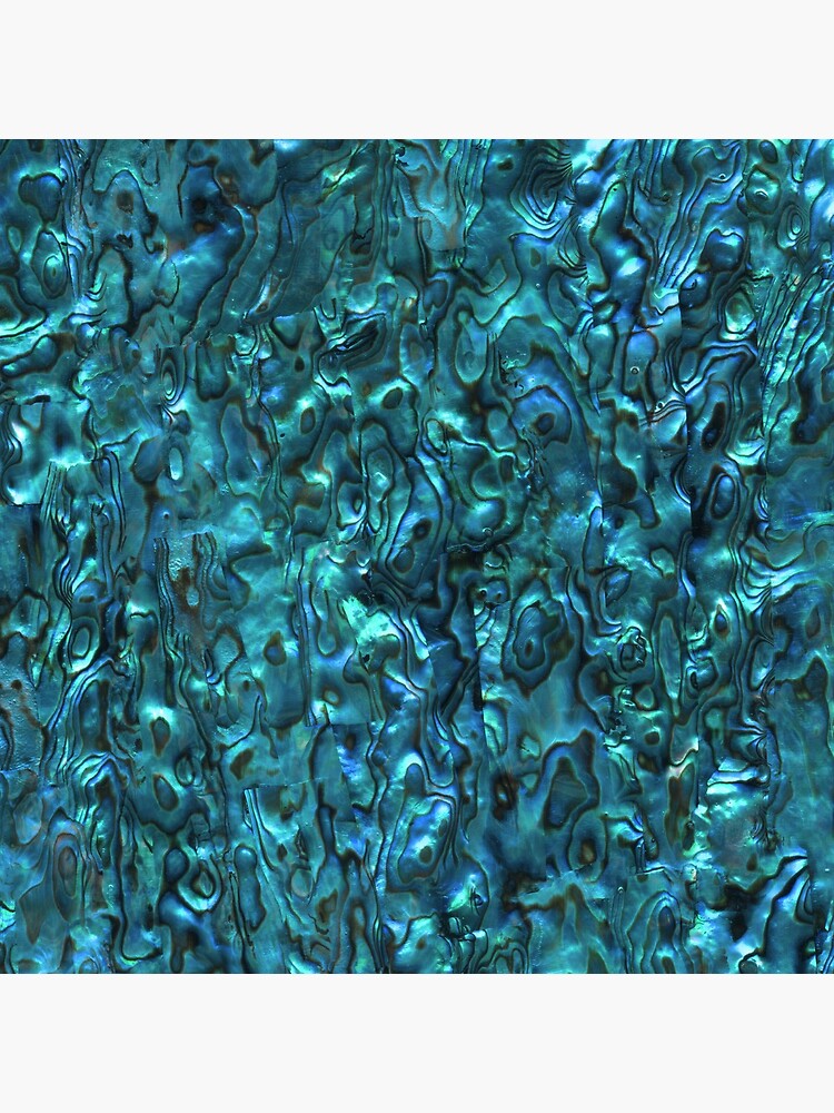 "Abalone Shell | Paua Shell | Seashell Patterns | Sea Shells | Cyan ...