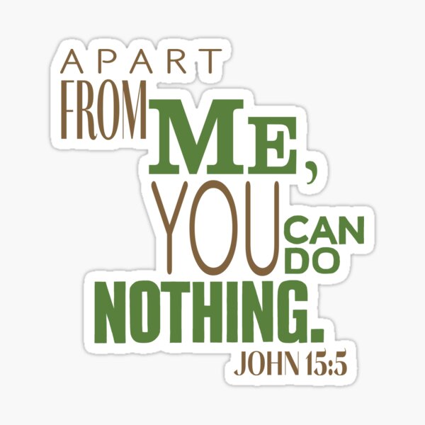  John 15 5 I Am The Vine You Are The Branches Apart From God We Can Do
