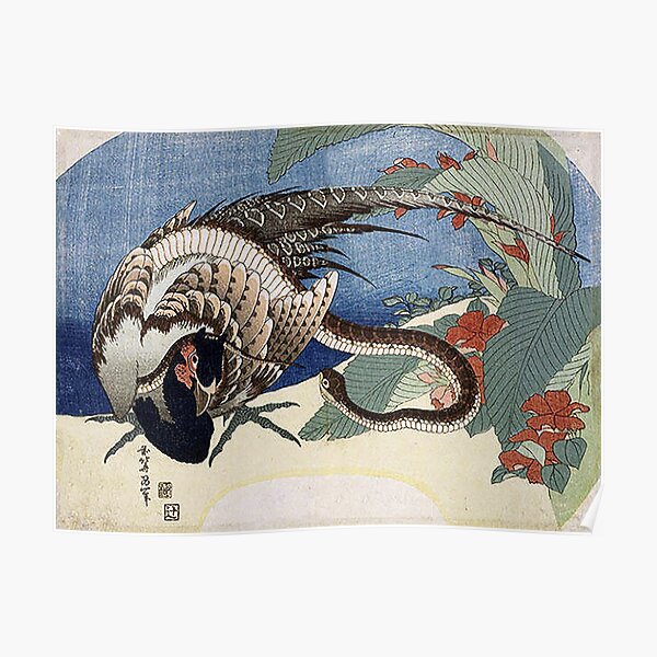 "pheasant and snake" Poster for Sale by taranirmala5 | Redbubble