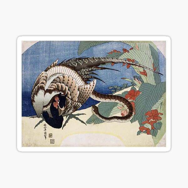 "pheasant and snake" Sticker for Sale by taranirmala5 | Redbubble
