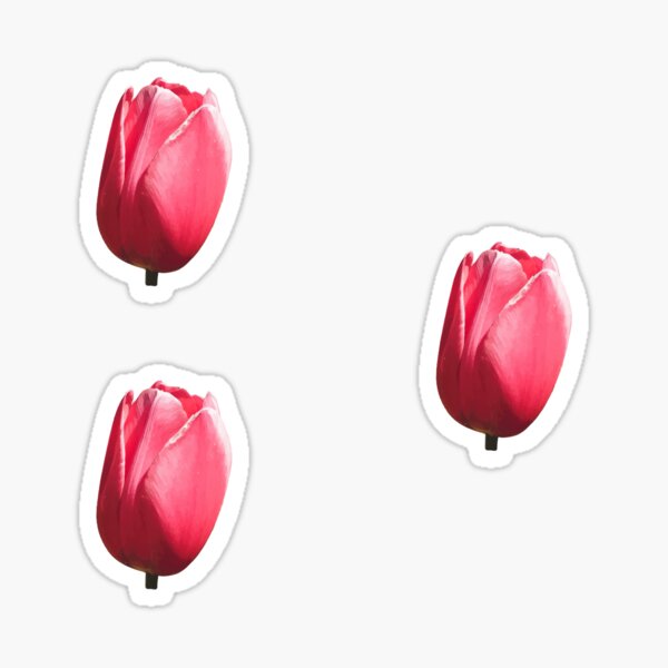 "Pink Tulip Flower" Sticker for Sale by EtheralDesigns | Redbubble