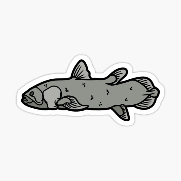 "coelacanth fish kawaii" Sticker for Sale by Animster | Redbubble