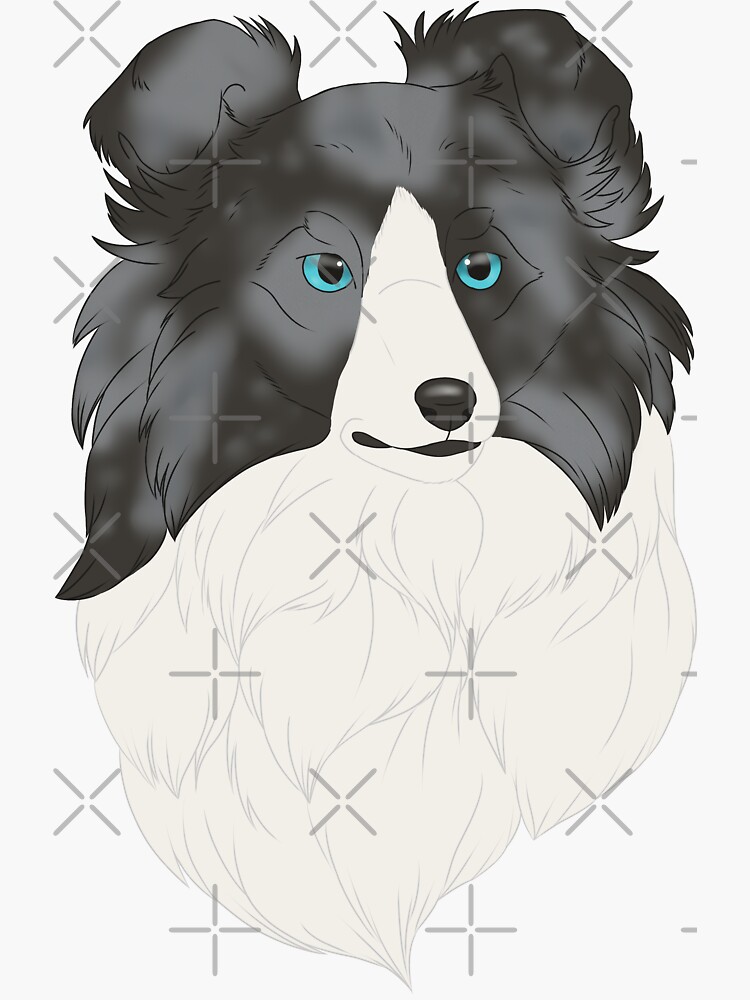 "Shetland Sheepdog - blue merle " Sticker for Sale by Cynthiaetal ...