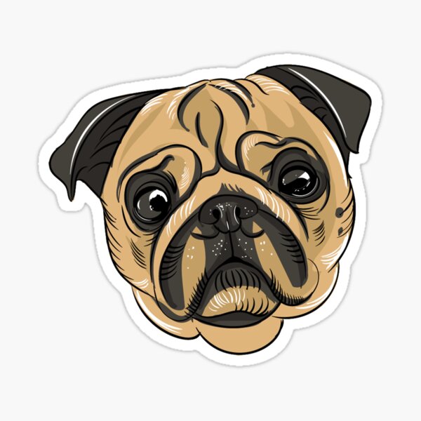 "Face of Pug dog " Sticker for Sale by MedBruh | Redbubble