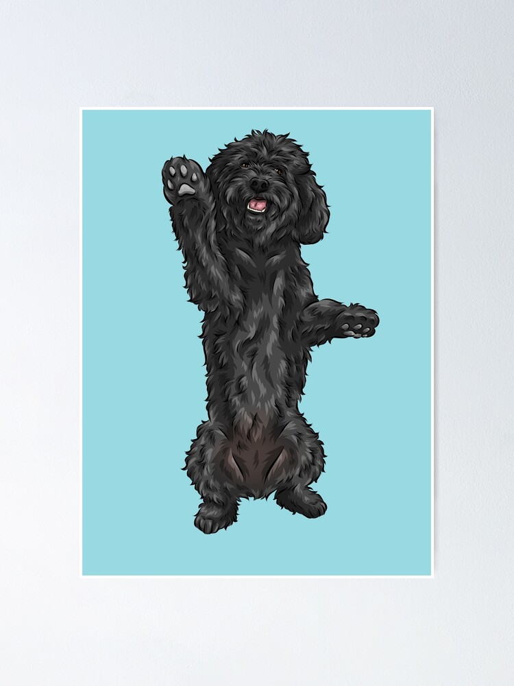 "Cute Black Cockapoo Dog" Poster for Sale by shirinsart | Redbubble